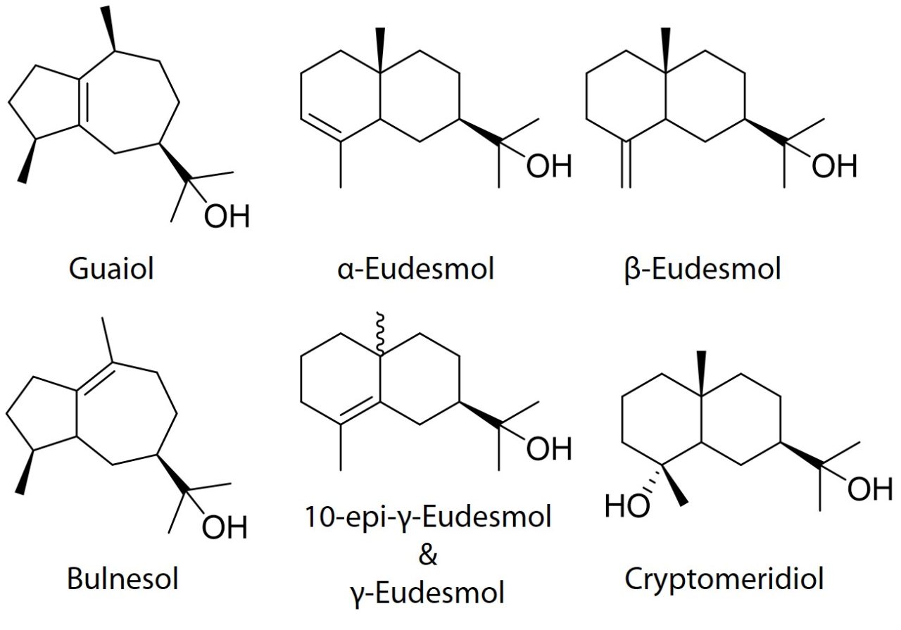 Terpene Groups as Strain Characteristics | Phytochemia